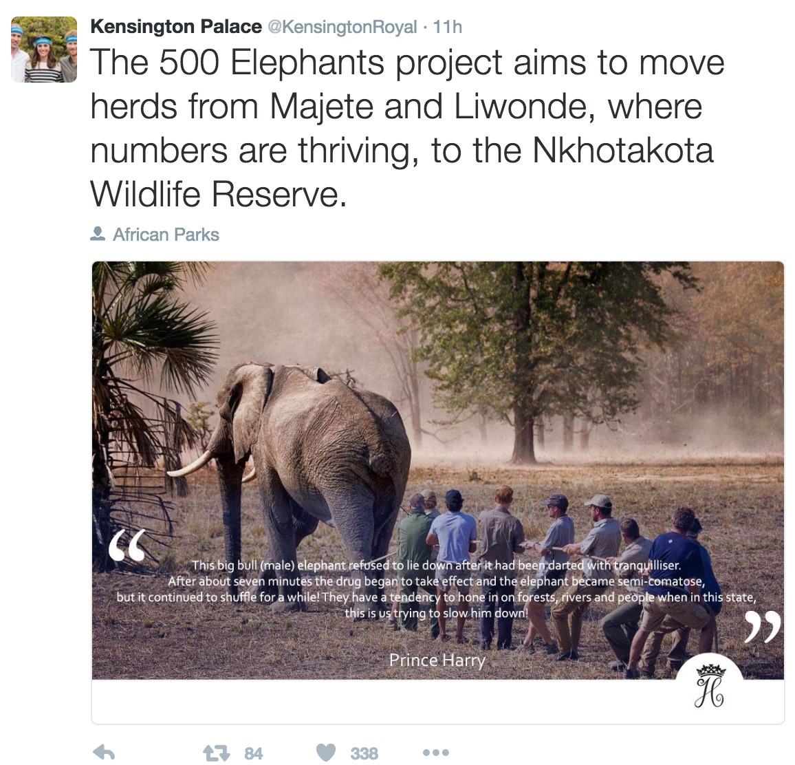 Prince Harry shares photos of his work with elephants in Africa ...