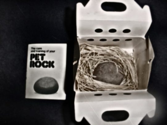 It was the ’70s and I was the proud owner of a pet rock - Starts at 60