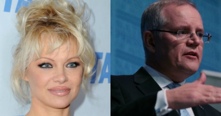 Pamela Anderson slams ‘smutty’ PM for rejecting calls to help Julian ... Pamela Anderson slams ‘smutty’ PM for rejecting calls to help Julian ...