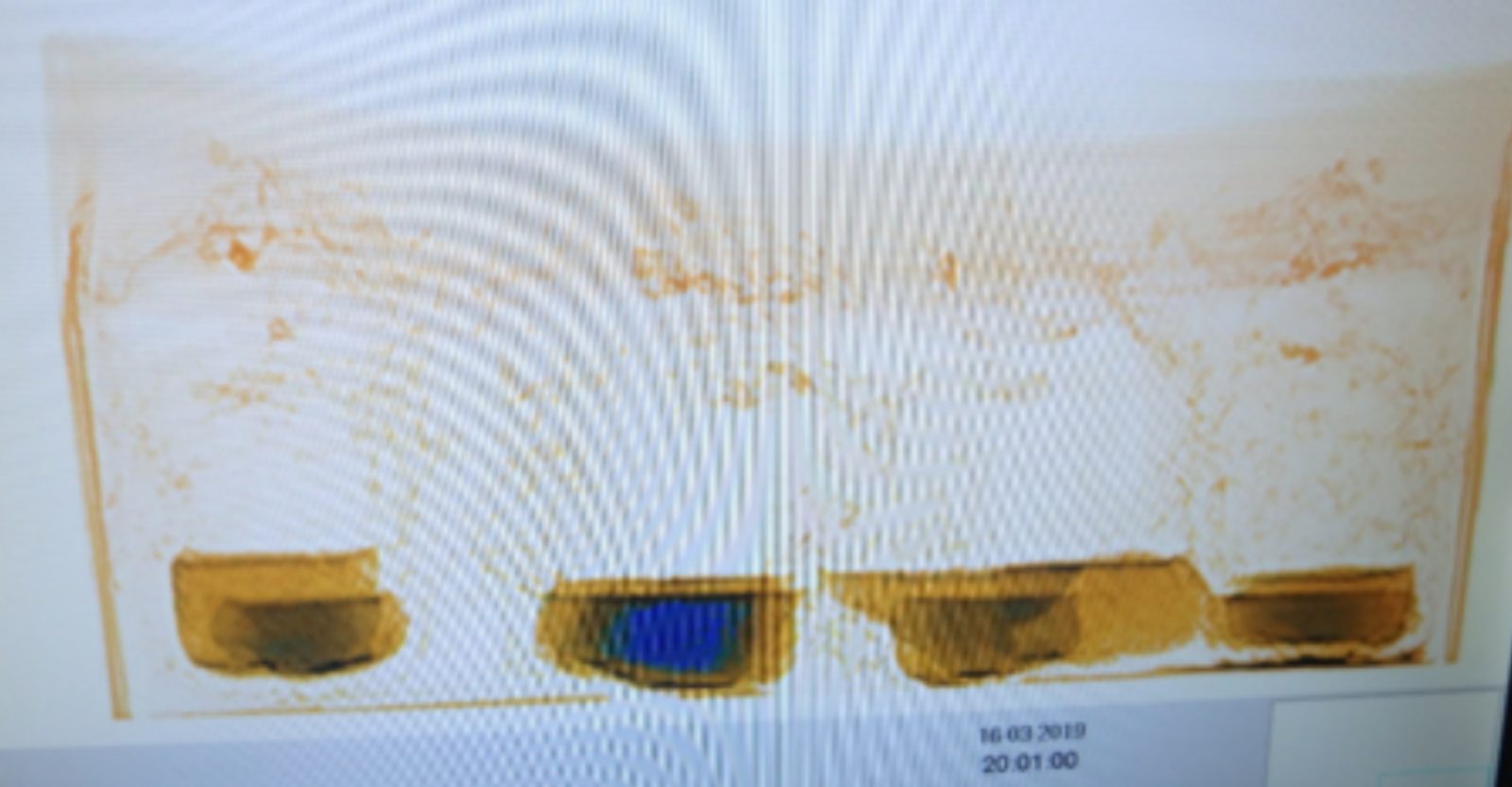 Most bizarre Border Security case yet? Man caught smuggling fish around ...